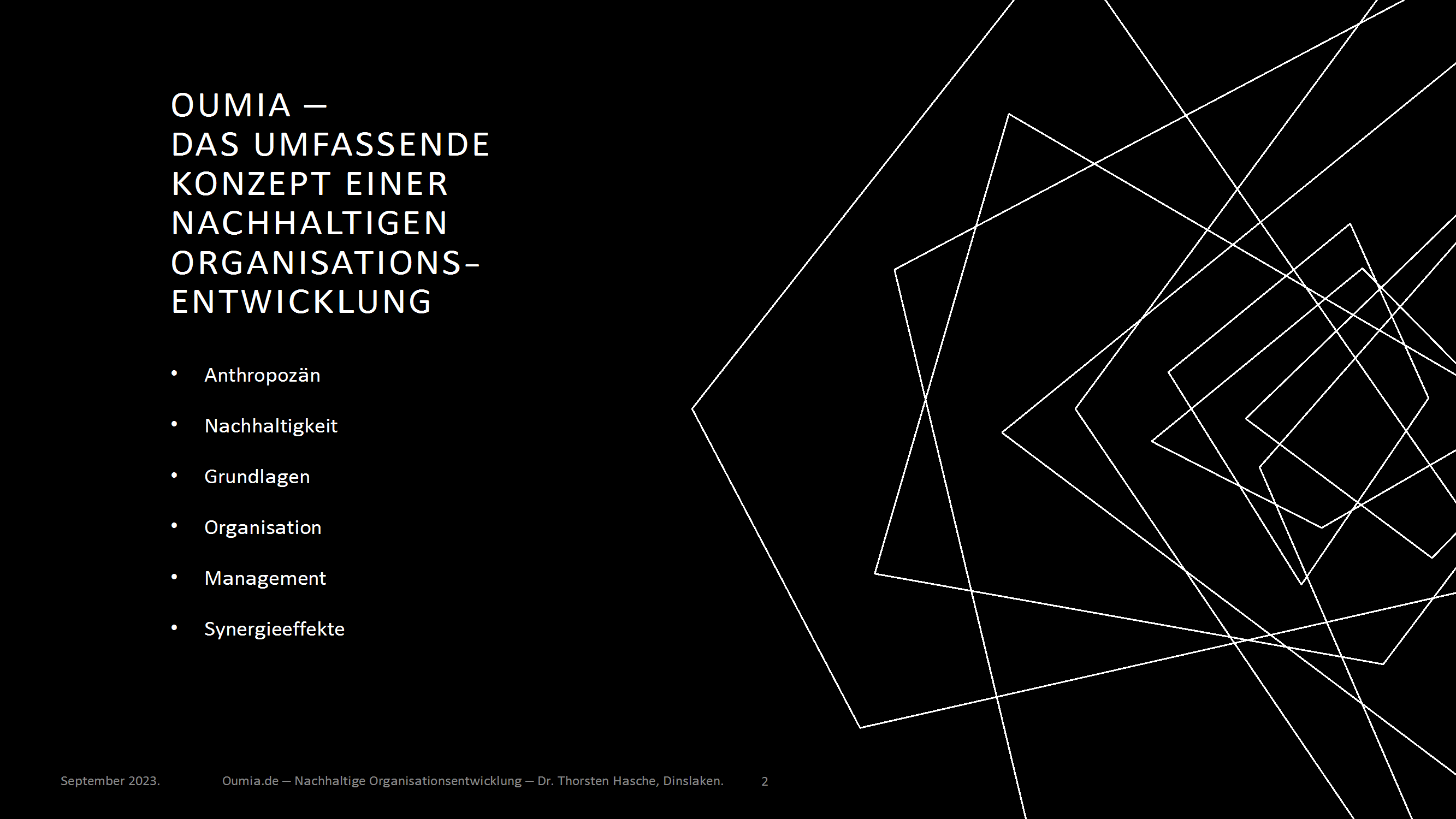 Dr. Thorsten Hasche - Expertise für nachhaltige und agile Organisationsentwicklung - Konzept